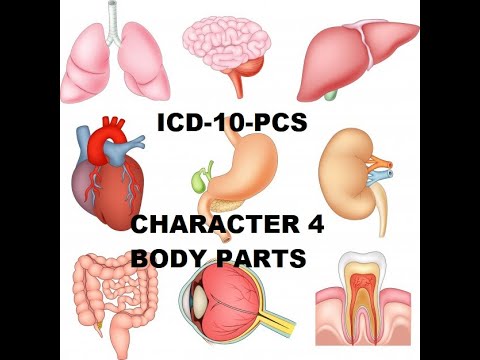 ICD-10-PCS Character 4 Body Parts