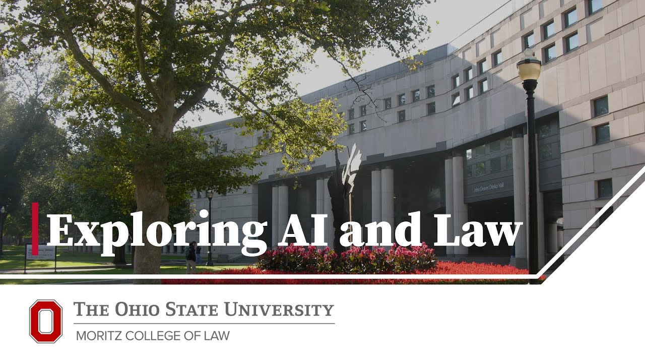 Exploring AI and Law | Interview with Professor Amy Schmitz