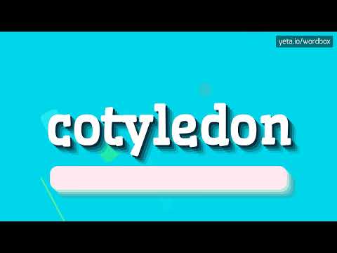 HOW TO SAY COTYLEDON? #cotyledon