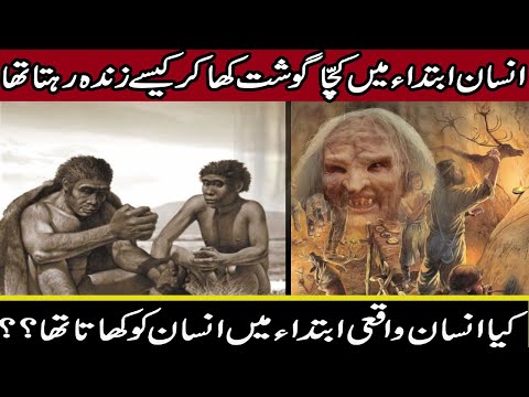 Ancient History of Stone age/Pre Historic People Part 3 in Urdu l Ilmi Diary