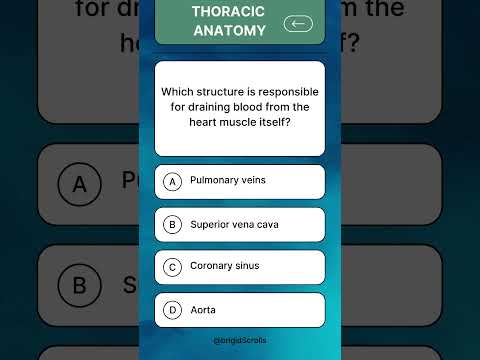 MCQ on Thoracic Anatomy – Test Your Knowledge! #anatomy #quiz #trivia