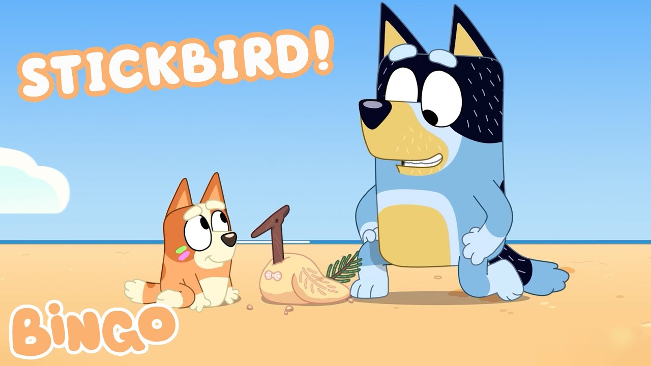 Fun with Stickbird At The Beach! 🏖 🧡 | Stickbird | Bingo - Official Channel