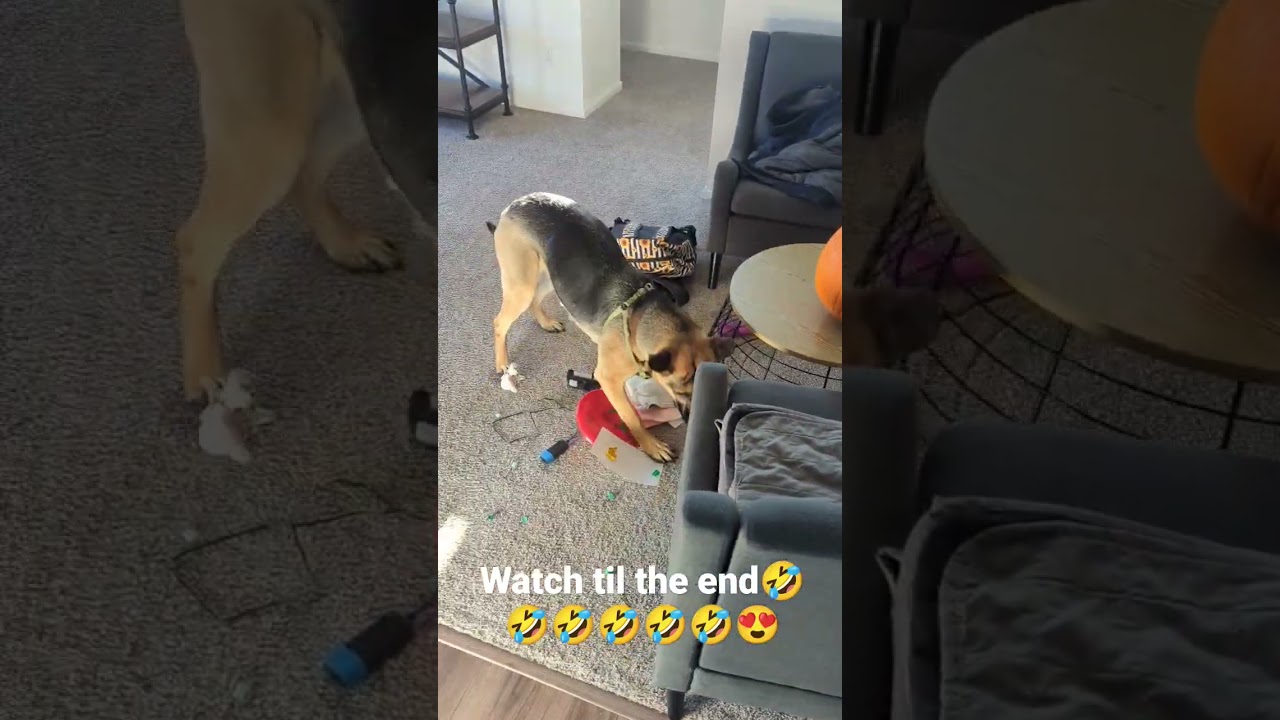 she's obsessed with the hacky sack, watch till the end 😍🥹🤣🤣