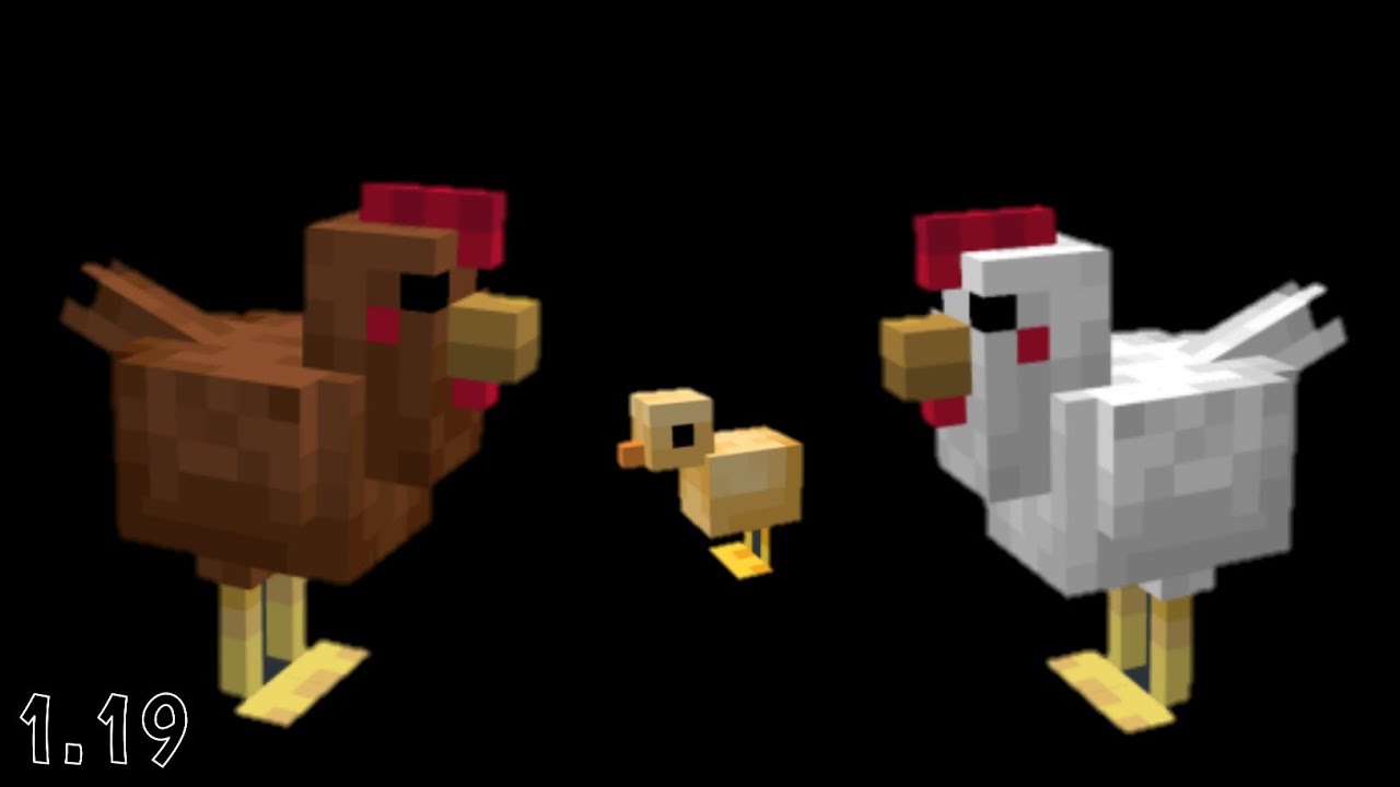 Barely Default Chickens In Minecraft | Addon In Minecraft 1.19