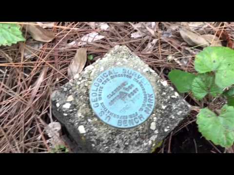 Old Survey Benchmark in Tosohatchee Wildlife Management Area