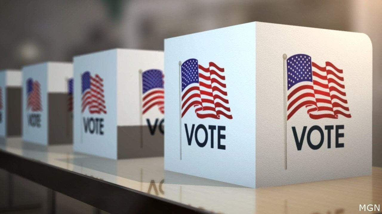 Cenla Votes: What Cenla voters need to know before voting in the March 23 Election