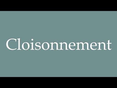 How to Pronounce ''Cloisonnement'' (Compartmentalization) Correctly in French