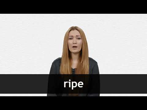 RIPE definition and meaning | Collins English Dictionary