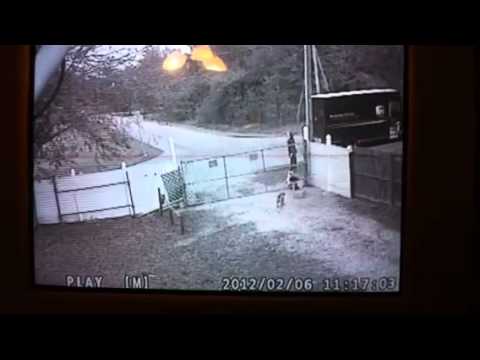 Ups drop off