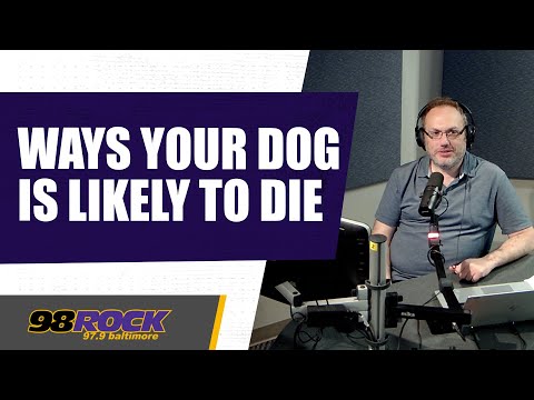 Ways Your Dog is Likely to Die