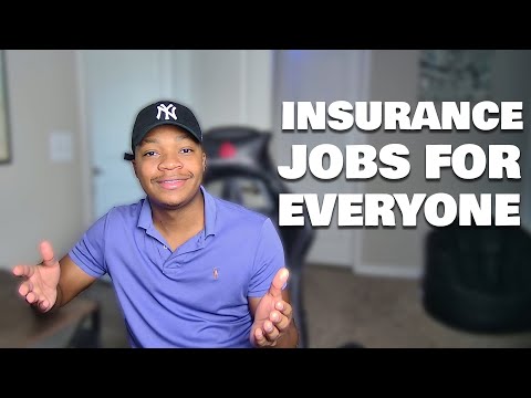 13 Best Jobs/Careers in the Insurance Industry (with average salaries)