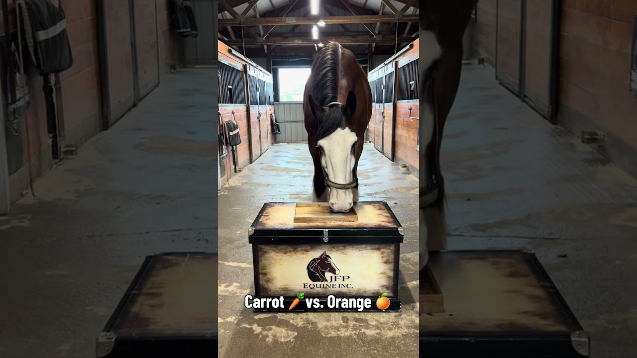 Fred’s Final Four Showdown. Some say it was a major upset. Bracket = wrecked.