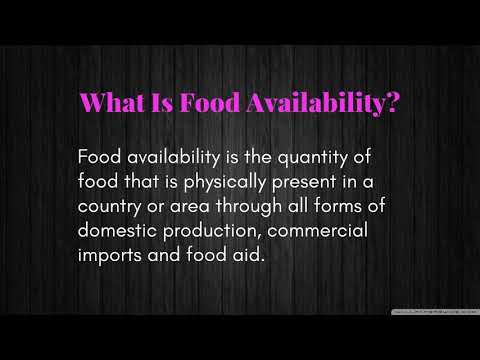 What Is Food Security?