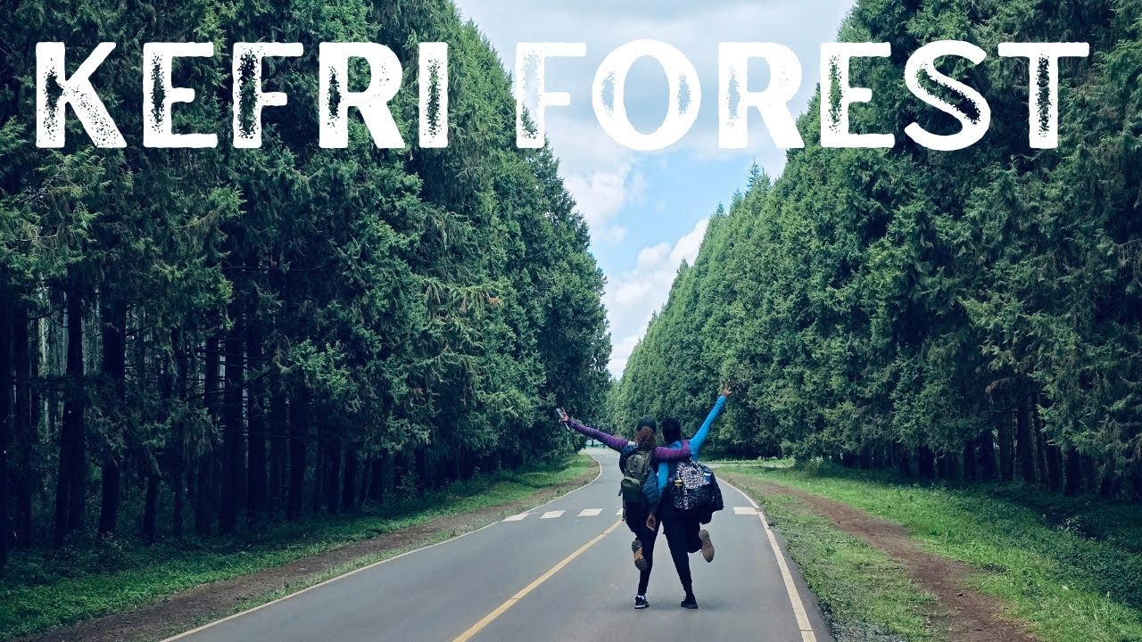 Worth the hype?||KEFRI FOREST WALK||