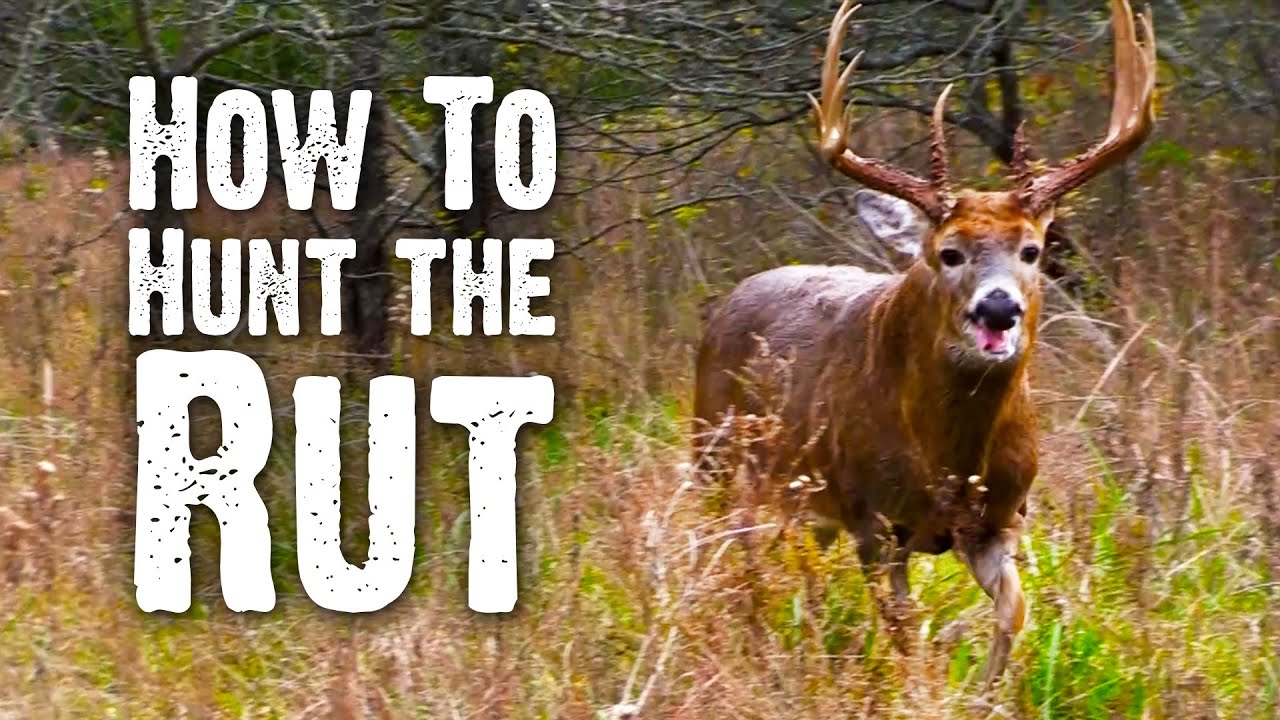 How to Hunt the Rut (842)