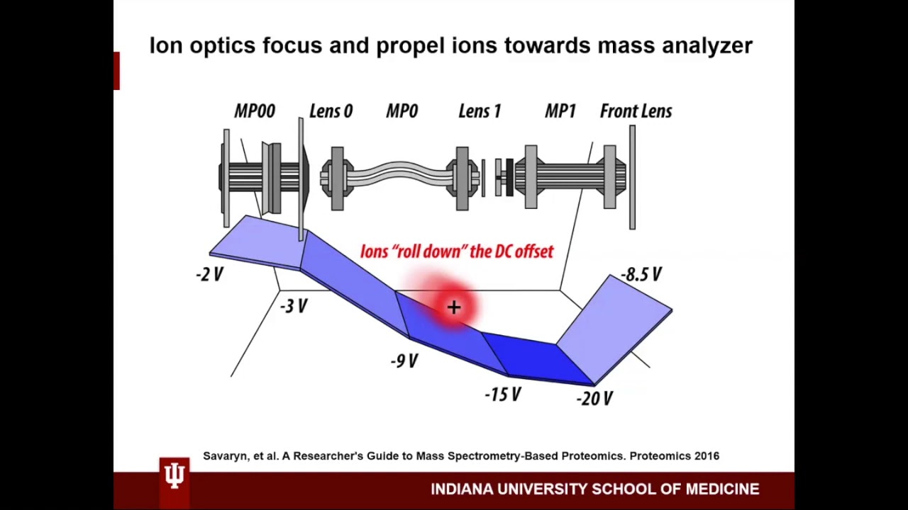 B4B: Module 8 - Ionization and ion guidance