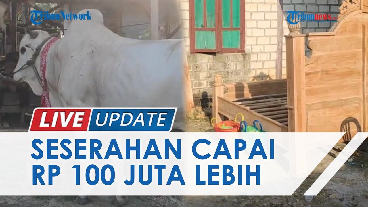 Viral Seserahan Nikah Di Tuban Capai Rp 100 Juta Lebih Pria Bawa Sapi