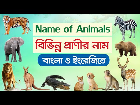 বিভিন্ন প্রাণীর নাম | Animals Name in Bengali to English | ৫৫টি পশু-প্রাণীর নাম | 55 Animals Name