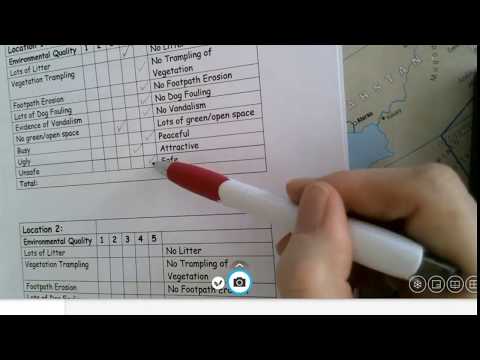 Fieldwork for Year 7 and 8