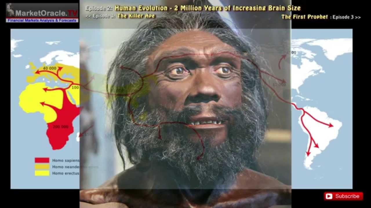 Human Evolution - 2 Million Years of Increasing Brain Size (1.3)