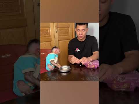 Baby monkey NANA wants her dad to feed her longan because she is so hungry #shorts #smartmonkey