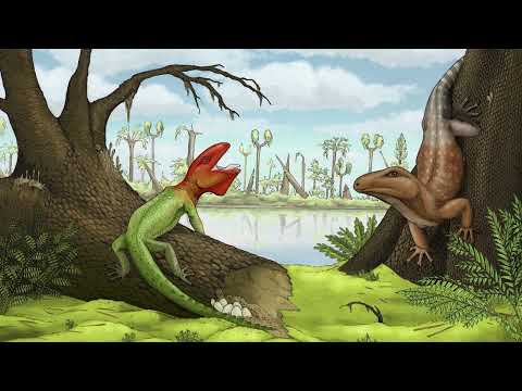Basal Synapsids: Your Earliest Ancestors