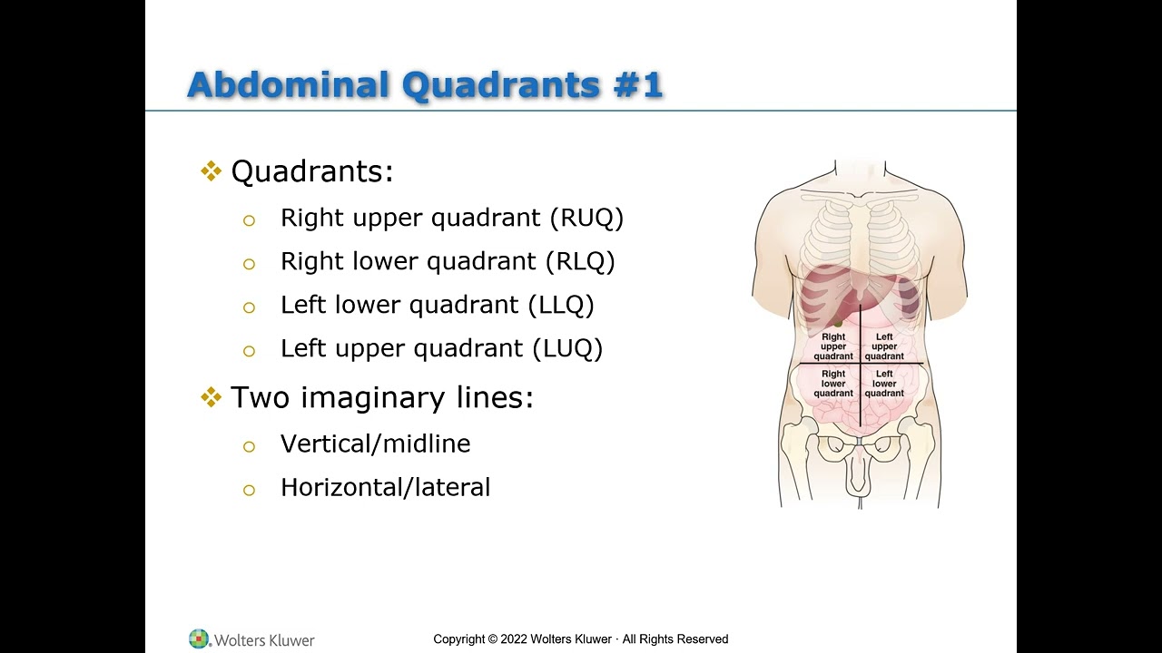PowerPoint   Chapter 23  Assessing Abdomen 1
