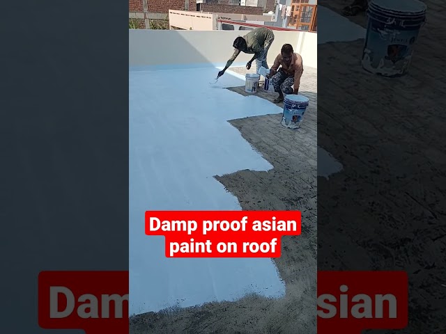 Asian Paints - Asian Paints Smartcare Waterproof Wall Putty Trader ...