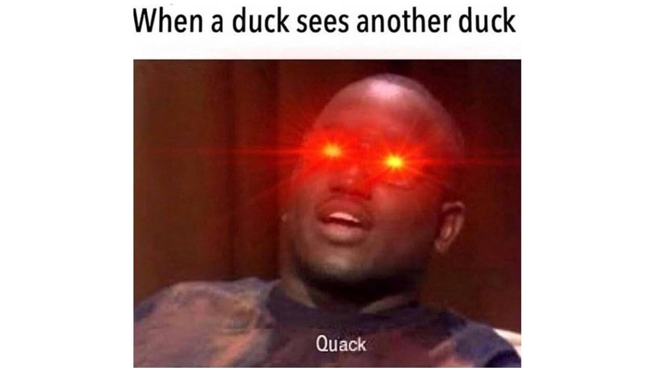 Brainy Memes - Episode 64