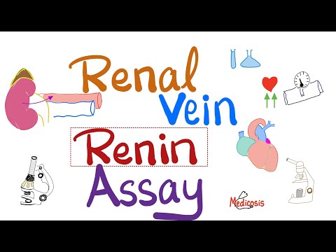 Renal vein renin assay - Hypertension and Renal artery stenosis - Nephrology