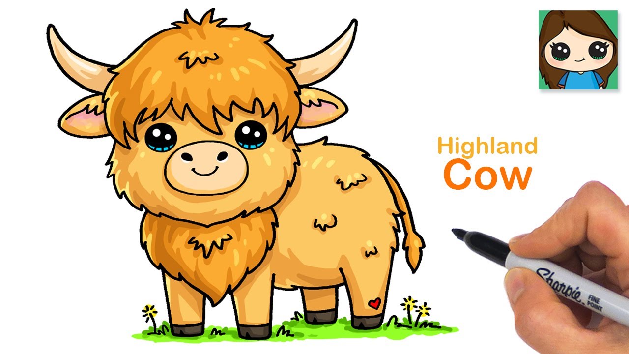 How to Draw a Highland Cow
