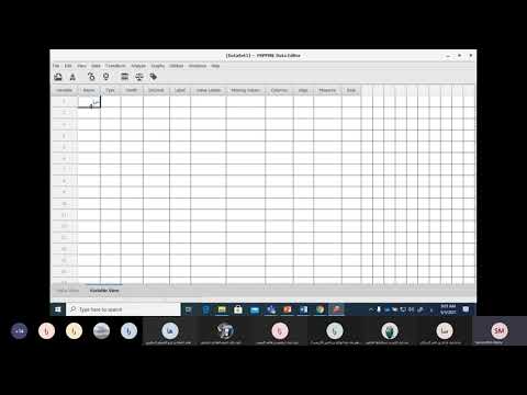 what is PSPP for data analysis