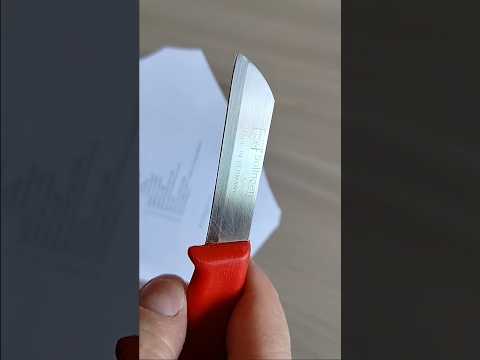 Old Solingen pocket knife #short