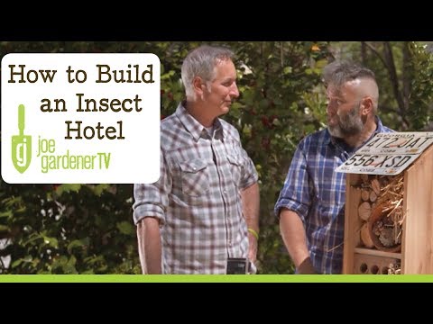 How to Make an Insect Hotel