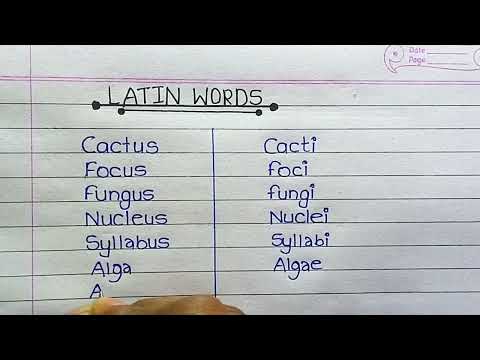 Latin Words Used In English Vocabulary | Latin Words And Meaning | Latin Words Expression |