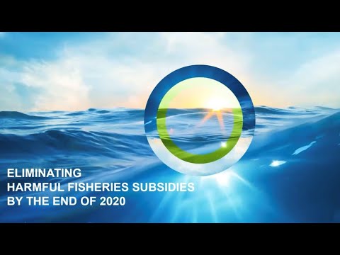 Eliminating harmful fisheries subsidies in 2020