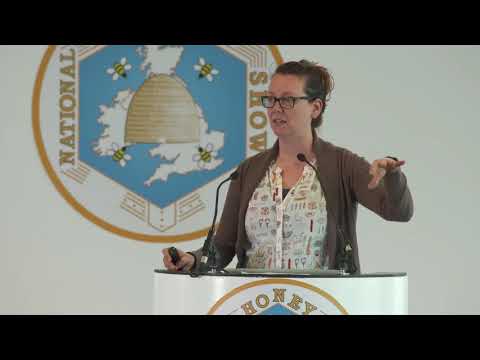 A Novel Defence of Honey Bees Against Formidable Wasp Predators by Heather Mattila