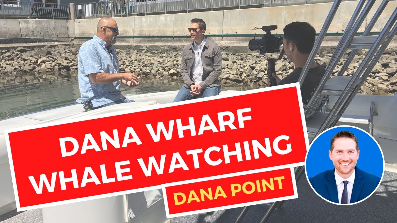 Dana Wharf Whale Watching 🐋 | Things to Do in Orange County & Dana Point