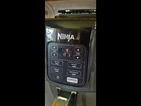 Ninja Air Fryer Review, Model AF101, (2020) - 4 quart