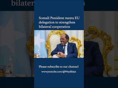 Somali President meets EU delegation to strengthen bilateral cooperation #somalia #news #muqdisho