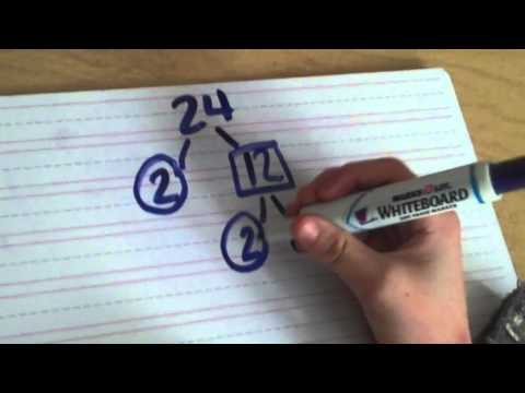 Prime Factorization of 24