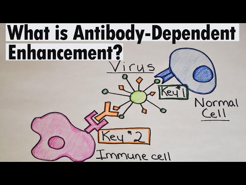 ADE | What is Antibody Dependent Enhancement