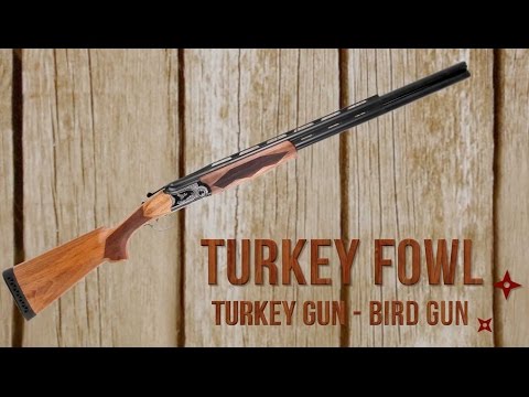 ATI Gives You Two Guns For The Price Of One