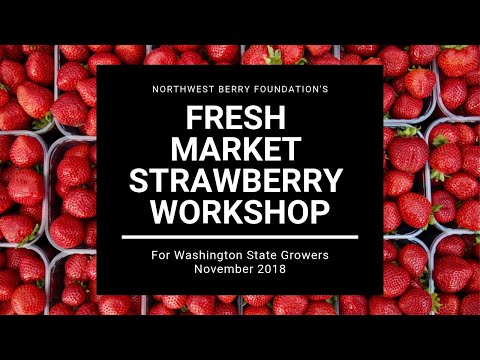 Weed Management Update and Strawberry Herbicide Discussion