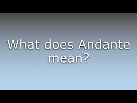 What does Andante mean?