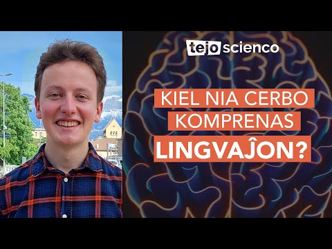 Kiel nia cerbo komprenas lingvaĵon? - Michael Vrazitulis - TEJO-scienco