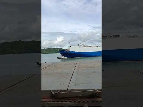 MV Pearl Asia at Iloilo