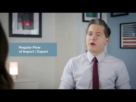 E1 Visa Requirements, USA 2024
