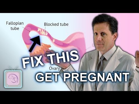 HSG blocked fallopian tubes - What now?