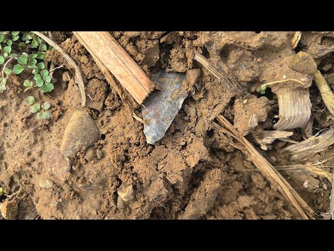 Artifact hunt - Ashland and Wayne Co Ohio